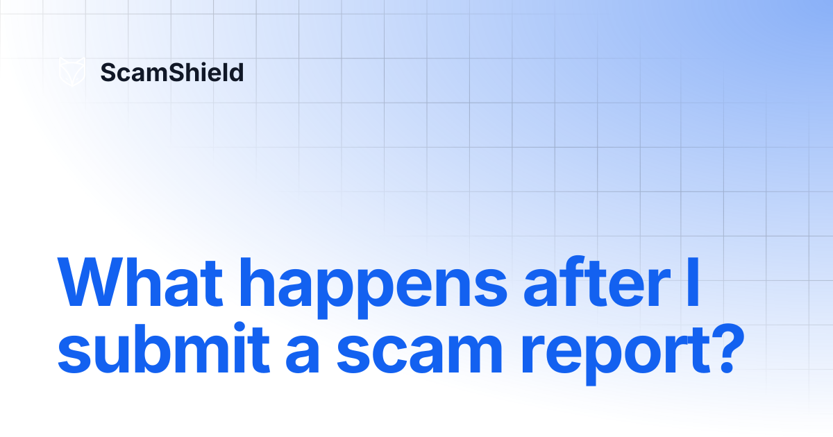 What happens after I submit a scam report? | ScamShield